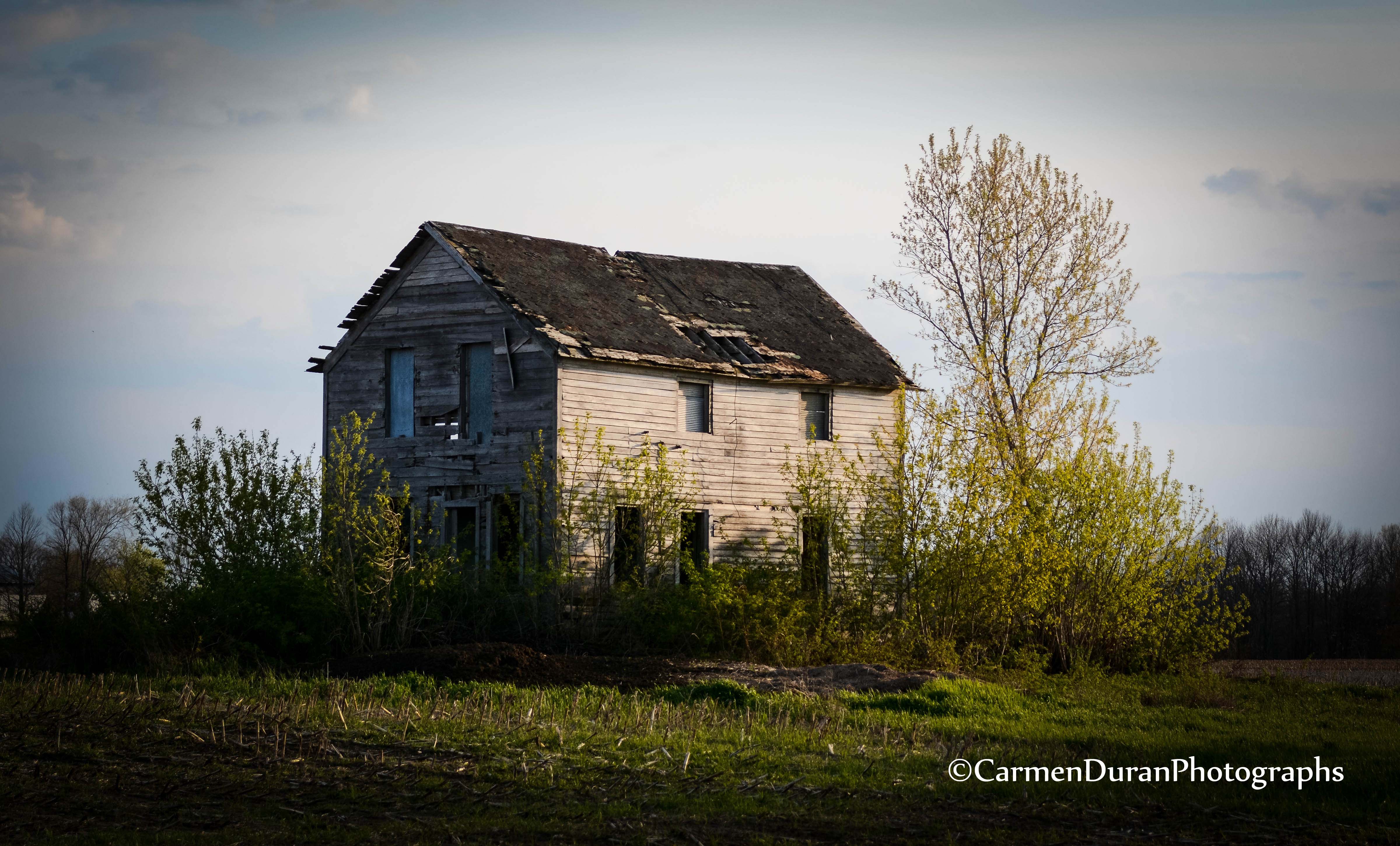 feb2015 | Stone Angel Arts